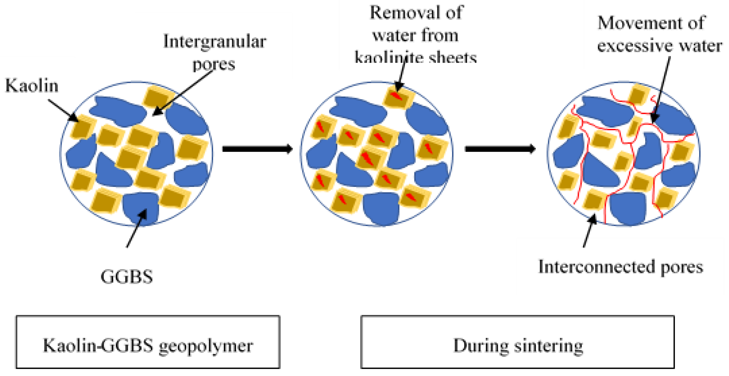 Effect of Sintering Parameters on Microstructural Evolution of Low ...