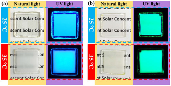 Construction of Laminated Luminescent Solar Concentrator “Smart” Window ...