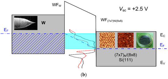 STM/STS Study of the Density of States and Contrast Behavior at the ...