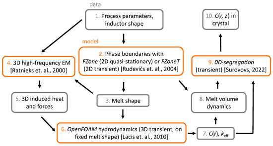 Numerical Simulation of Species Segregation and 2D Distribution in the ...