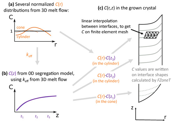 Numerical Simulation of Species Segregation and 2D Distribution in the ...