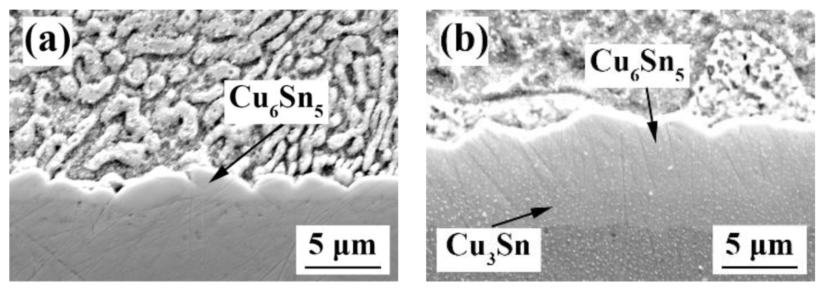 Reliability of SnPbSb/Cu Solder Joint in the High-Temperature Application