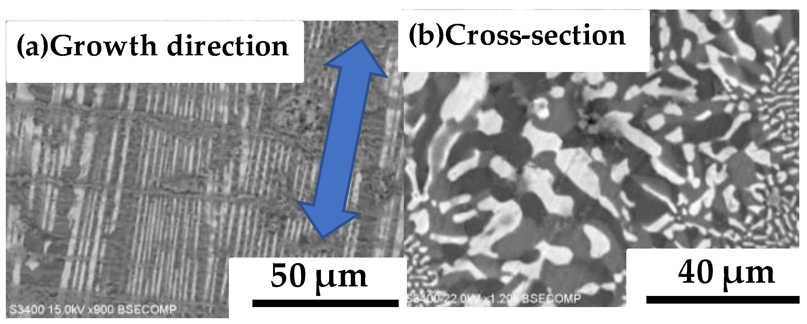 Fabrication of CeCl3/LiCl/CaCl2 Ternary Eutectic Scintillator for ...