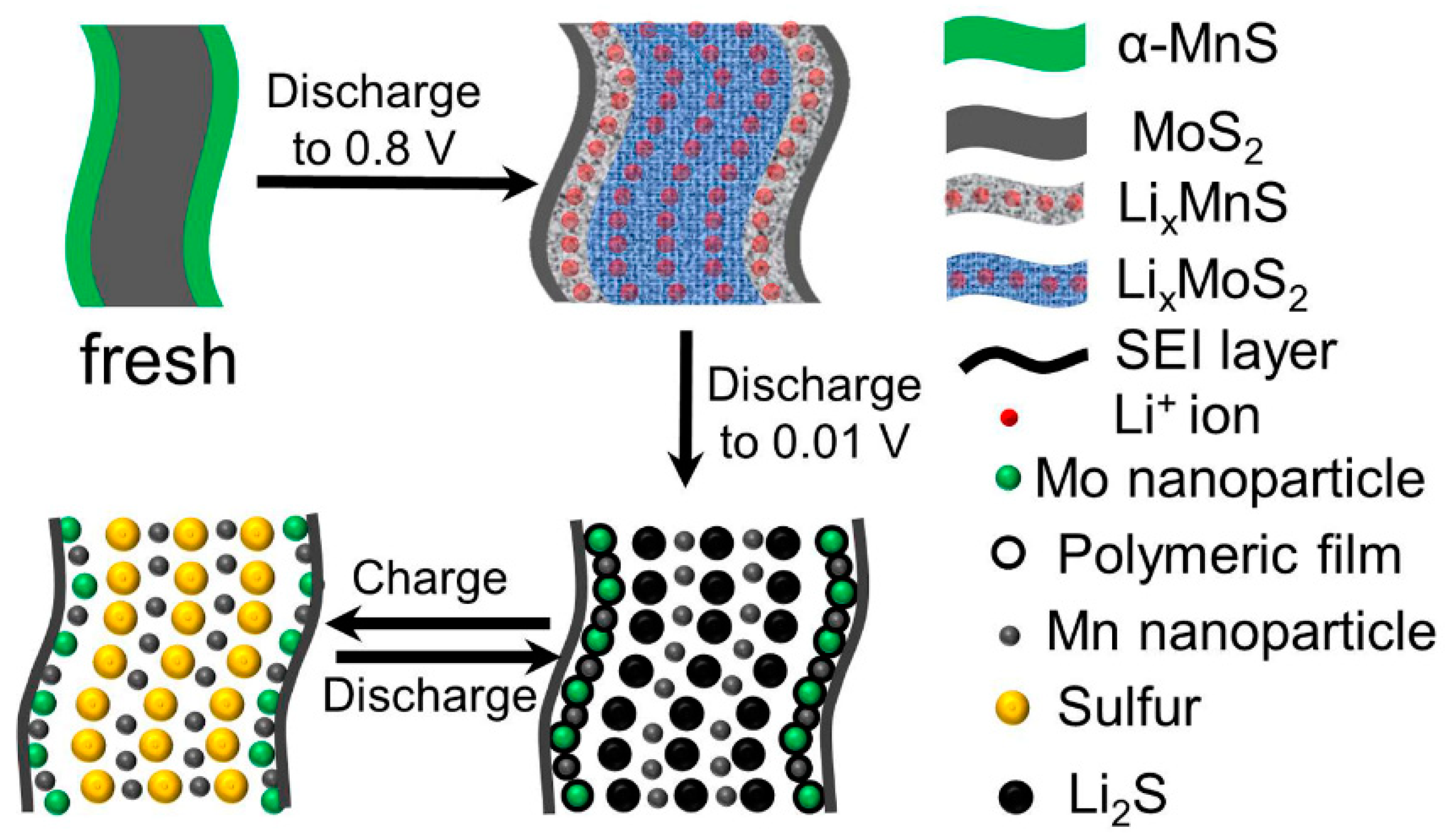 Facile One-Pot Hydrothermal Synthesis of Hierarchical MoS2/α-MnS ...