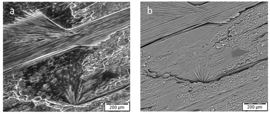 Formation of α-Hemihydrate Inside of a Gypsum Crystal during the ...