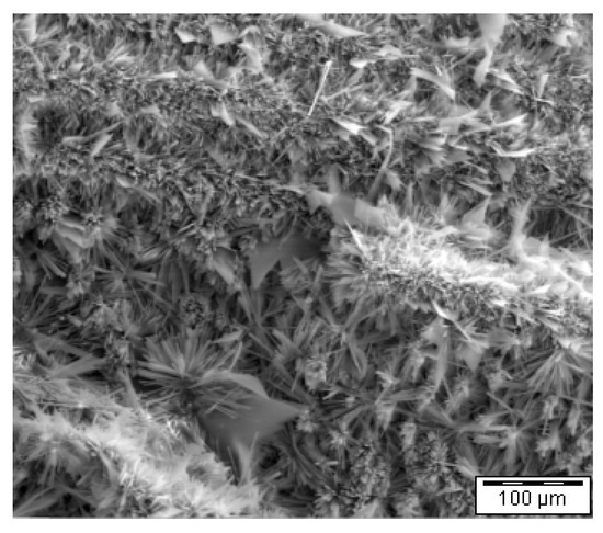 Formation of α-Hemihydrate Inside of a Gypsum Crystal during the ...