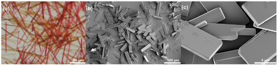 Controllable Fabrication of Organic Cocrystals with Interior Hollow ...