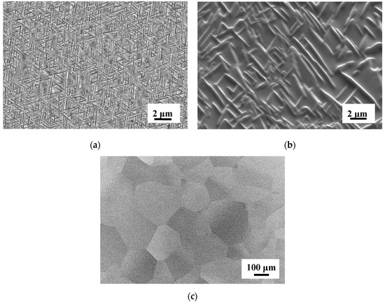 Influence of Phase Composition on Stress-Corrosion Cracking of Ti-6Mo ...