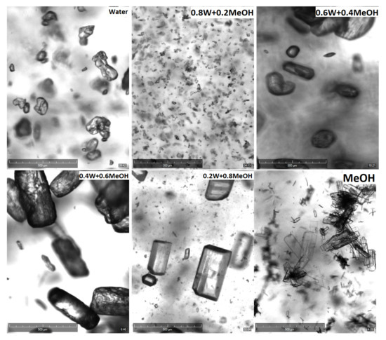 Effect of Solvent Composition on Solubility, Thermodynamics, Metastable ...