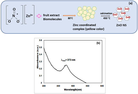 Green Synthesis of ZnO Nanostructures Using Pyrus pyrifolia: Antimicrobial, Photocatalytic and ...