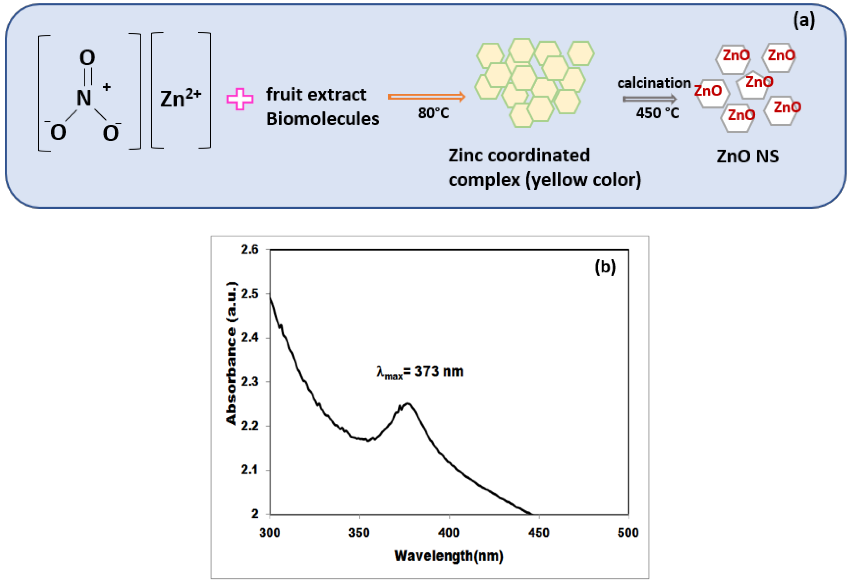 Green Synthesis of ZnO Nanostructures Using Pyrus pyrifolia: Antimicrobial, Photocatalytic and ...