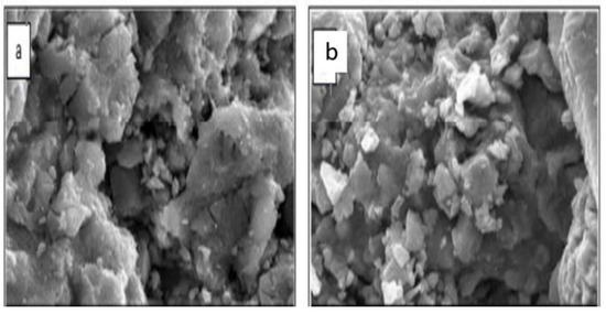 An Overview of Iron Oxide (Fe3O4) Nanoparticles: From Synthetic ...