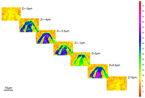 Gemstone Inclusion Study by 3D Raman-Mapping and High-Resolution X-ray ...