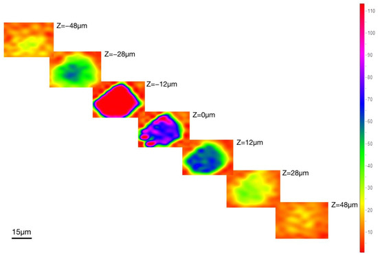 Gemstone Inclusion Study by 3D Raman-Mapping and High-Resolution X-ray ...