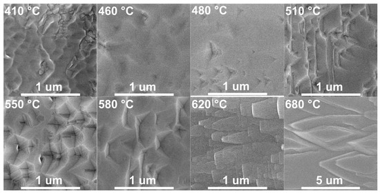GaAs Molecular Beam Epitaxy on (110)-Oriented Substrates