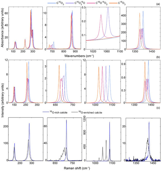 Evaluating the Effect of 18O Incorporation on the Vibrational Spectra ...