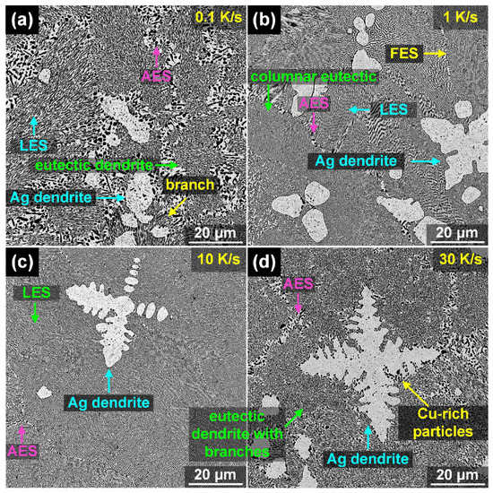 Formation and Morphological Transition of Diversified Eutectic ...