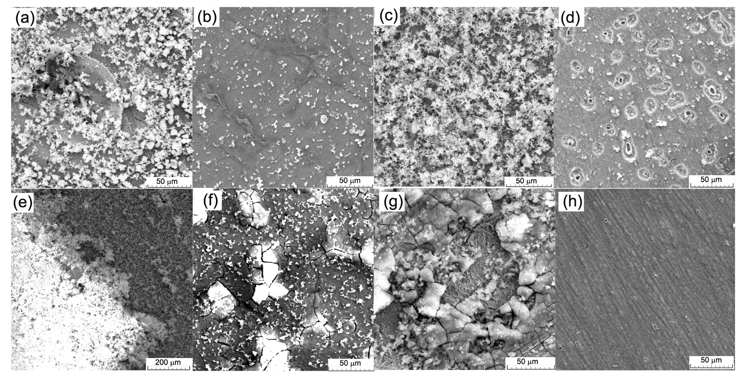 Crystals | Free Full-Text | Microstructure, Shape Memory Effect, Chemical Composition and ...