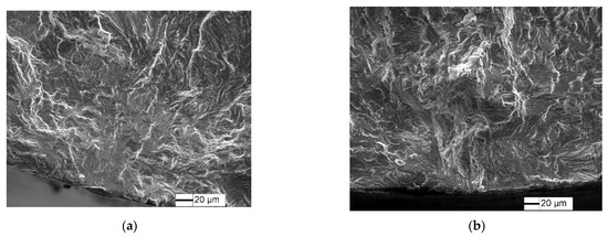 Very High Cycle Fatigue Damage of TC21 Titanium Alloy under High/Low Two-Step Stress Loading
