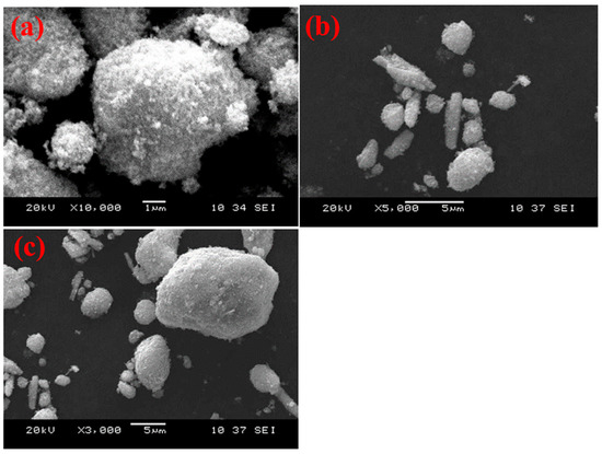 Fabrication of Effective Co-SnO2/SGCN Photocatalysts for the Removal of ...
