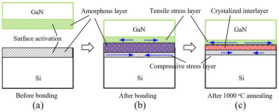 Interlayer Investigations of GaN Heterostructures Integrated into ...