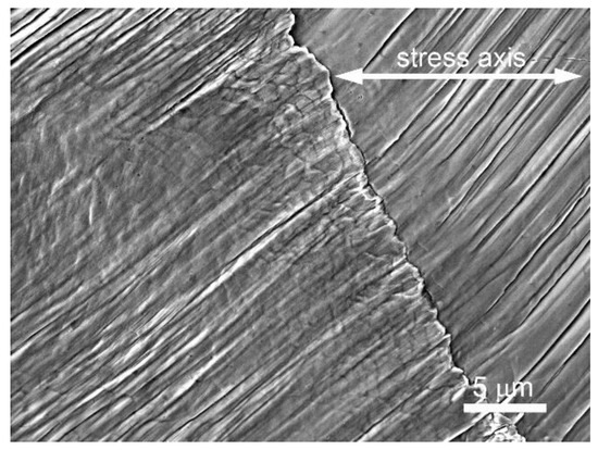Role of Persistent Slip Bands and Persistent Slip Markings in Fatigue Crack Initiation in ...