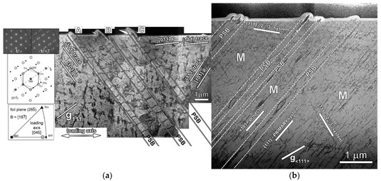 Role of Persistent Slip Bands and Persistent Slip Markings in Fatigue Crack Initiation in ...