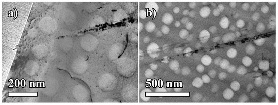 Role of Persistent Slip Bands and Persistent Slip Markings in Fatigue ...