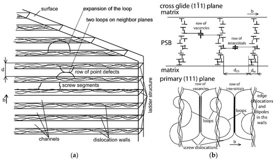 Role of Persistent Slip Bands and Persistent Slip Markings in Fatigue ...