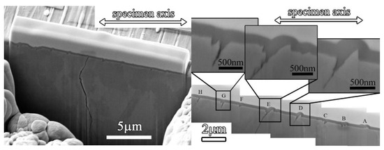 Role of Persistent Slip Bands and Persistent Slip Markings in Fatigue Crack Initiation in ...
