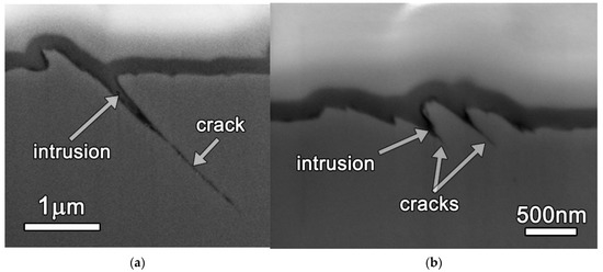 Role of Persistent Slip Bands and Persistent Slip Markings in Fatigue Crack Initiation in ...