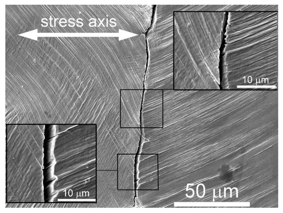 Role of Persistent Slip Bands and Persistent Slip Markings in Fatigue ...