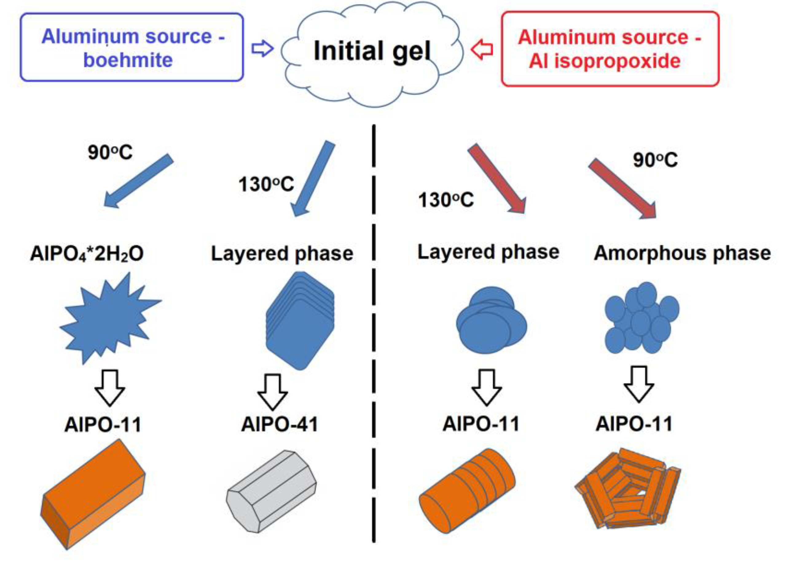 The Role of Intermediate Phases in the Crystallization of Aluminophosphate Sieves on Examples of ...