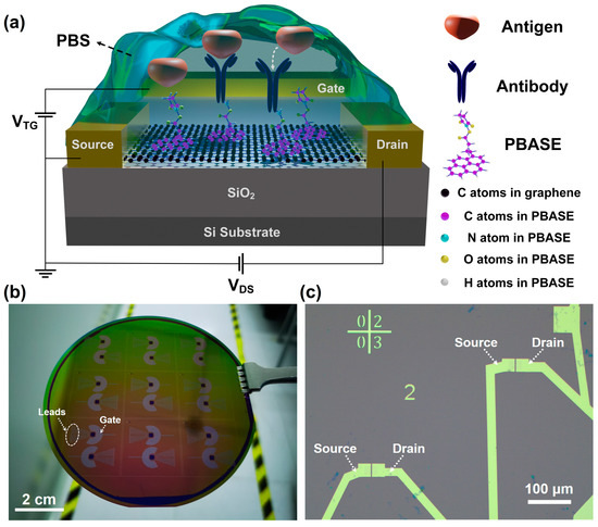Predicting the Level of Background Current Noise in Graphene Biosensor through a Non-Covalent ...