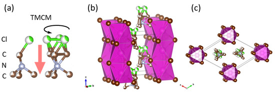 Phase Transition and Dynamics of Defects in the Molecular Piezoelectric ...