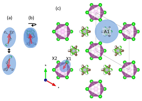 Phase Transition and Dynamics of Defects in the Molecular Piezoelectric ...
