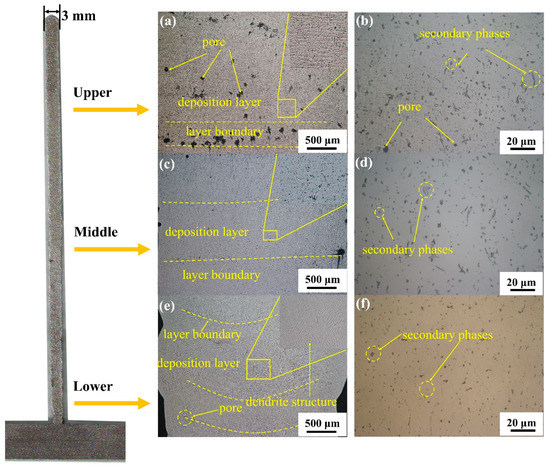 Metallurgical and Mechanical Characteristics of an AA5183 Alloy Plate ...