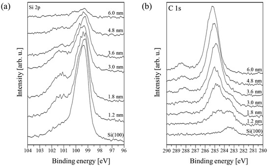 Interactions between PTCDI-C8 and Si(100) Surface