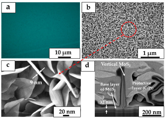 Three-Dimensional MoS2 Nanosheet Structures: CVD Synthesis ...