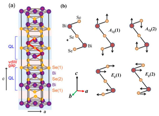 The Raman Spectra of Co-, Fe-, and Mn-doped Bi2Se3 Single Crystals