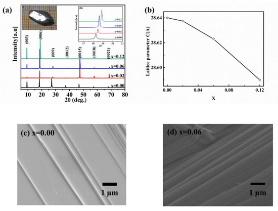 The Raman Spectra of Co-, Fe-, and Mn-doped Bi2Se3 Single Crystals