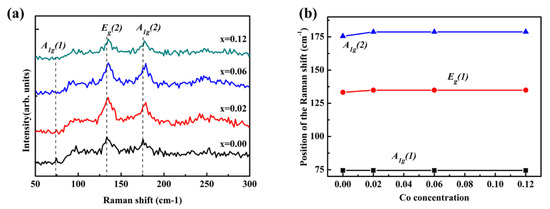The Raman Spectra of Co-, Fe-, and Mn-doped Bi2Se3 Single Crystals