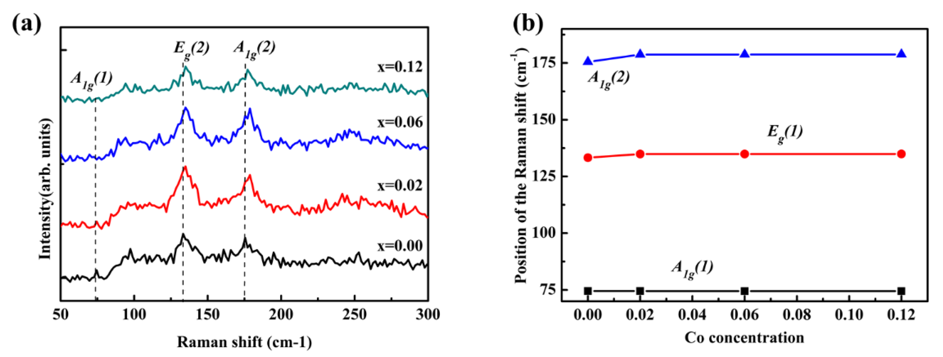 The Raman Spectra of Co-, Fe-, and Mn-doped Bi2Se3 Single Crystals