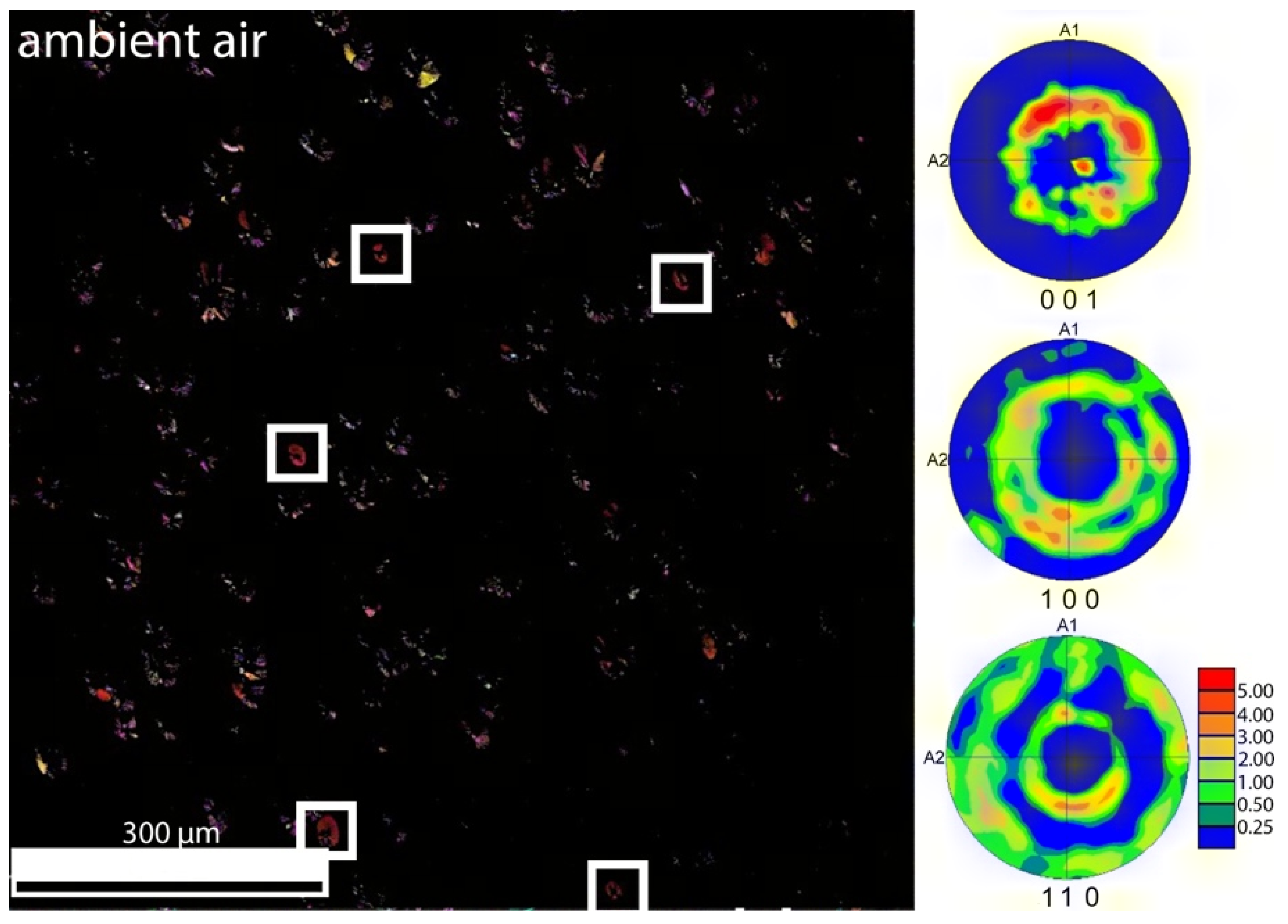 Surface Crystallization of Barium Fresnoite Glass: Annealing Atmosphere ...