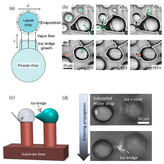 A Review of Condensation Frosting—Mechanisms and Promising Solutions