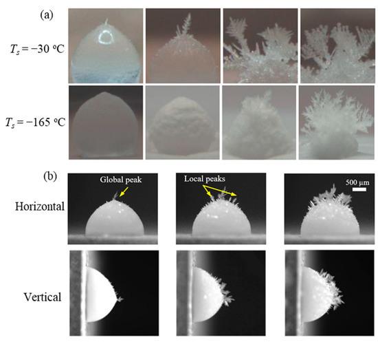 A Review of Condensation Frosting—Mechanisms and Promising Solutions