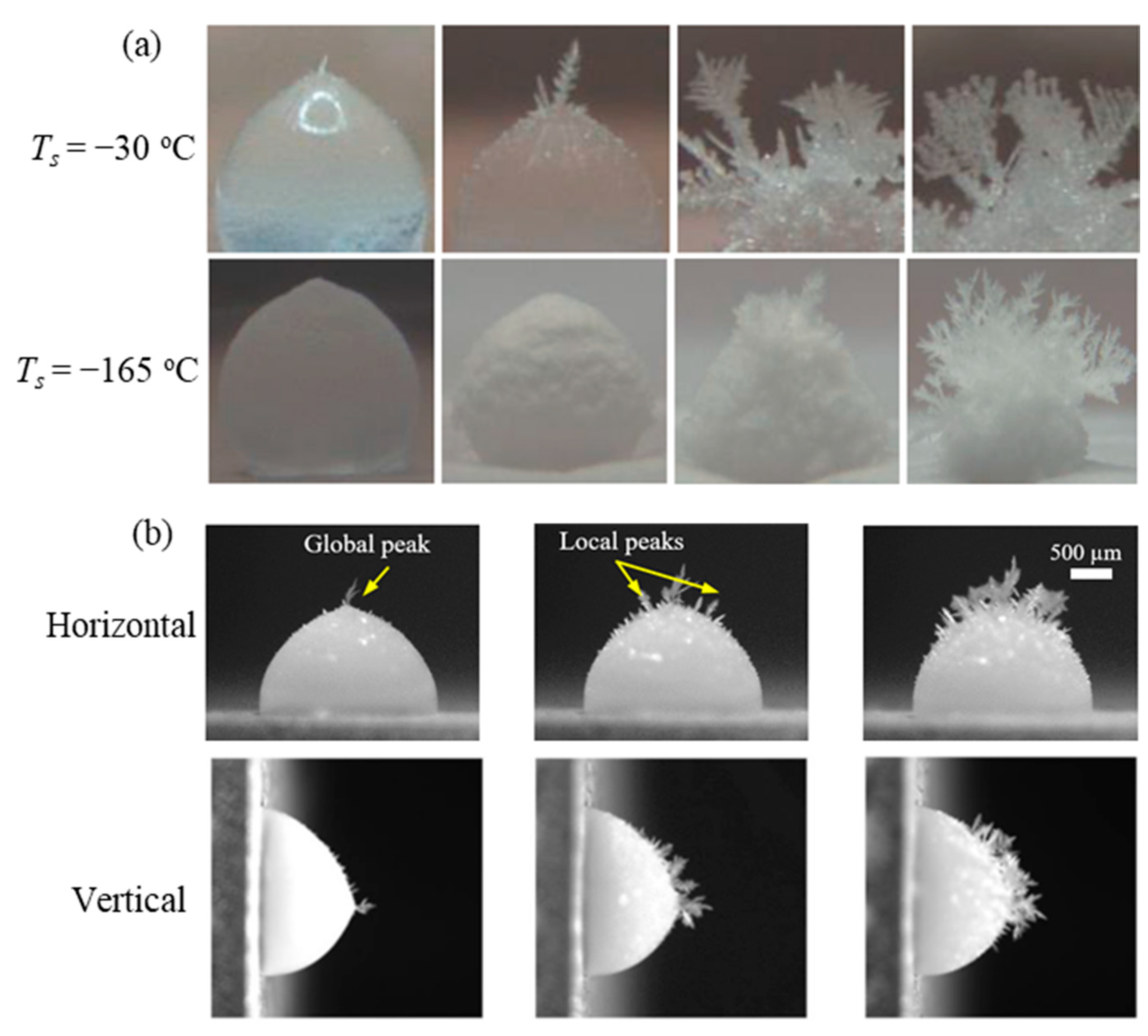 A Review of Condensation Frosting—Mechanisms and Promising Solutions