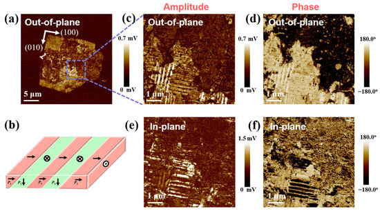 The Synthesis and Domain Structures of Single-Crystal-Like Mesoscale ...
