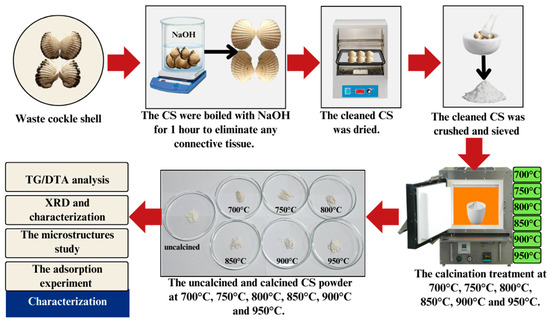Synthesis, Scrutiny, and Applications of Bio-Adsorbents from Cockle ...