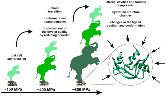 The Promise and Challenge of High Pressure Macromolecular Crystallography